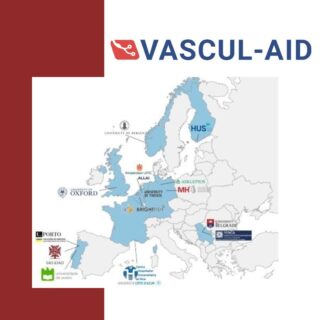 VASCUL-AID – AI-based progression prediction tools for AAA and PAD